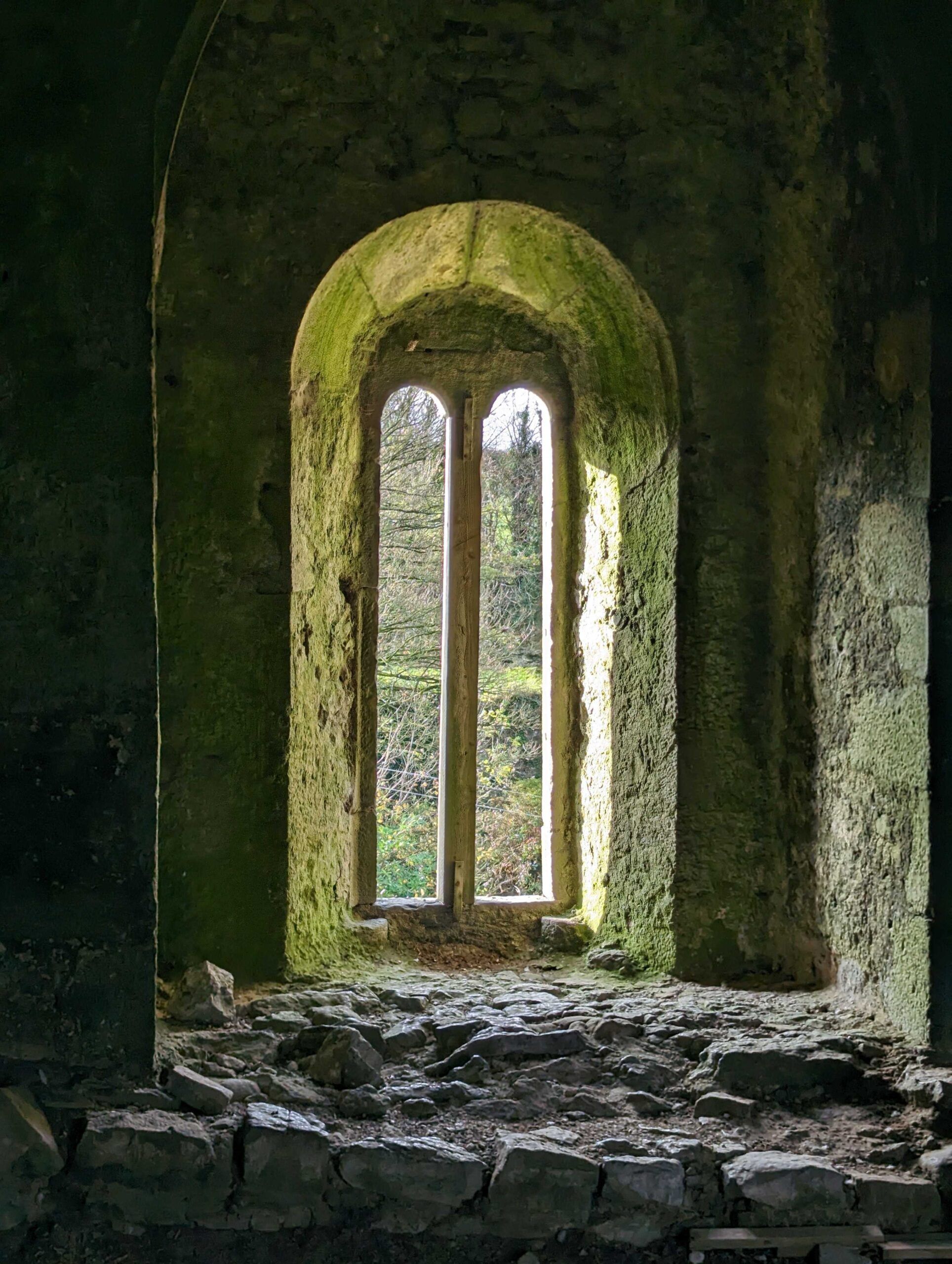 Master Framing: Elevate Your Photography Skills